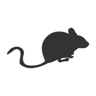 Livefood | Peregrine